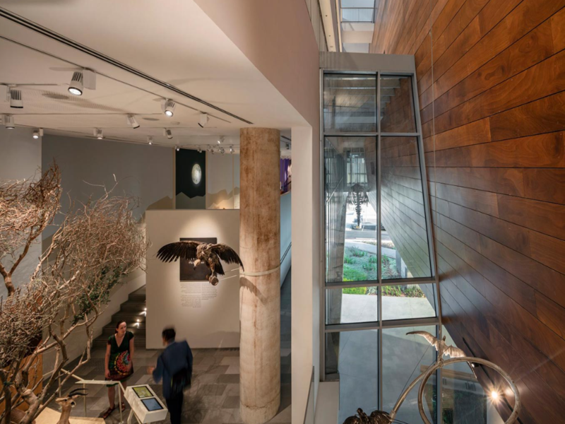 Revestimiento Interior Parklex Prodema de HUNTER DOUGLAS